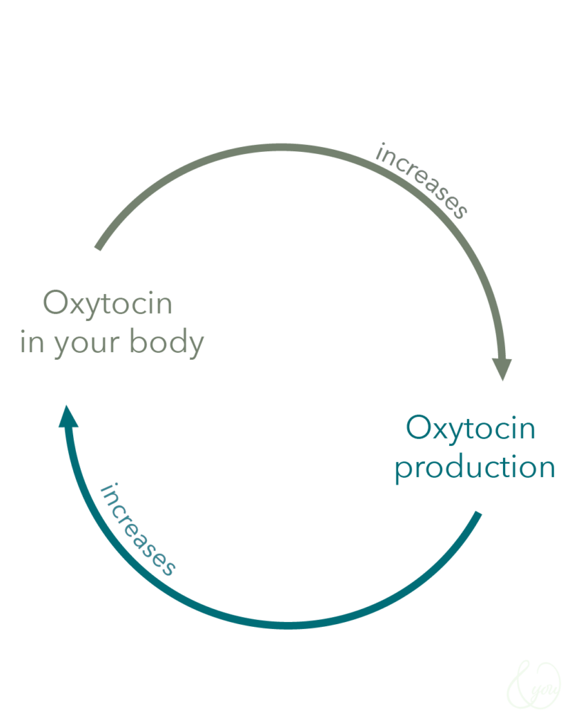 What does oxytocin do in parents
